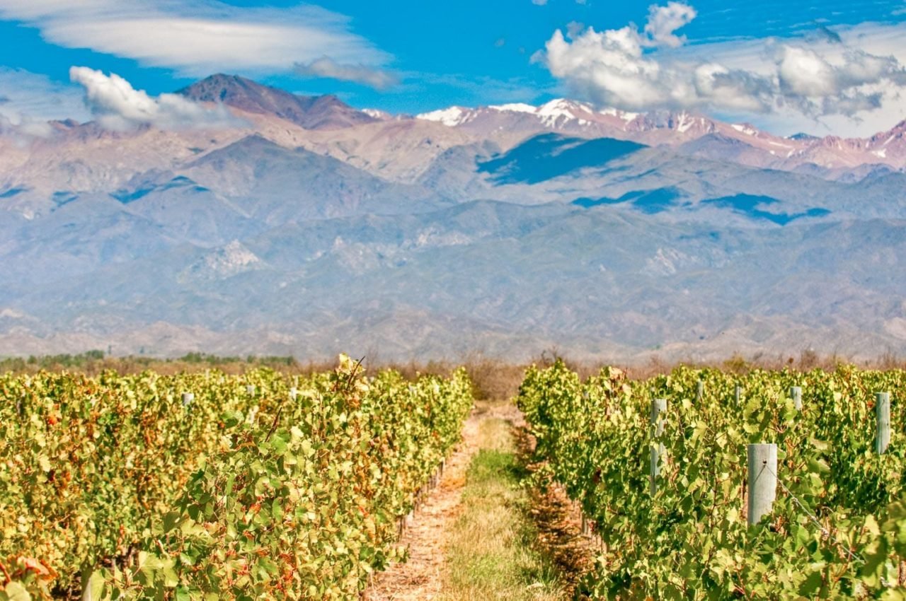 Visit Mendoza: Luxury Travel to Wine Capital of Argentina | LANDED Travel