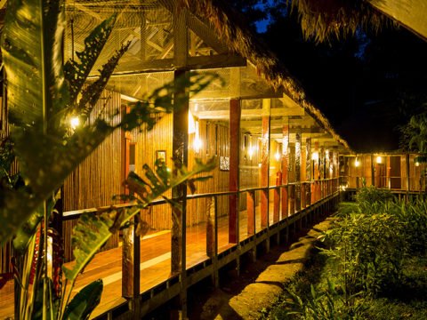 Posada Amazonas Lodge | Southern Amazon Peru Hotels