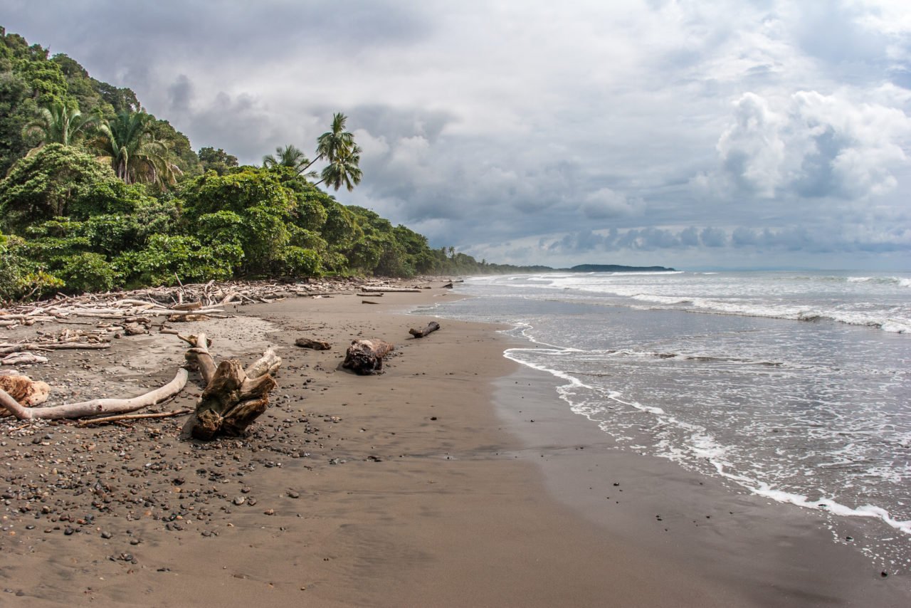 Visit Dominical & Uvita: Whales and Surf in Costa Rica | LANDED Travel