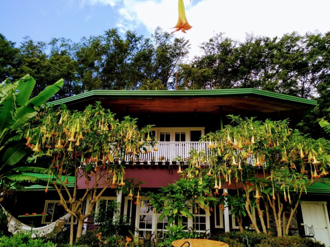 Casa Lerida: Panama Lodge and Coffee House | LANDED Travel