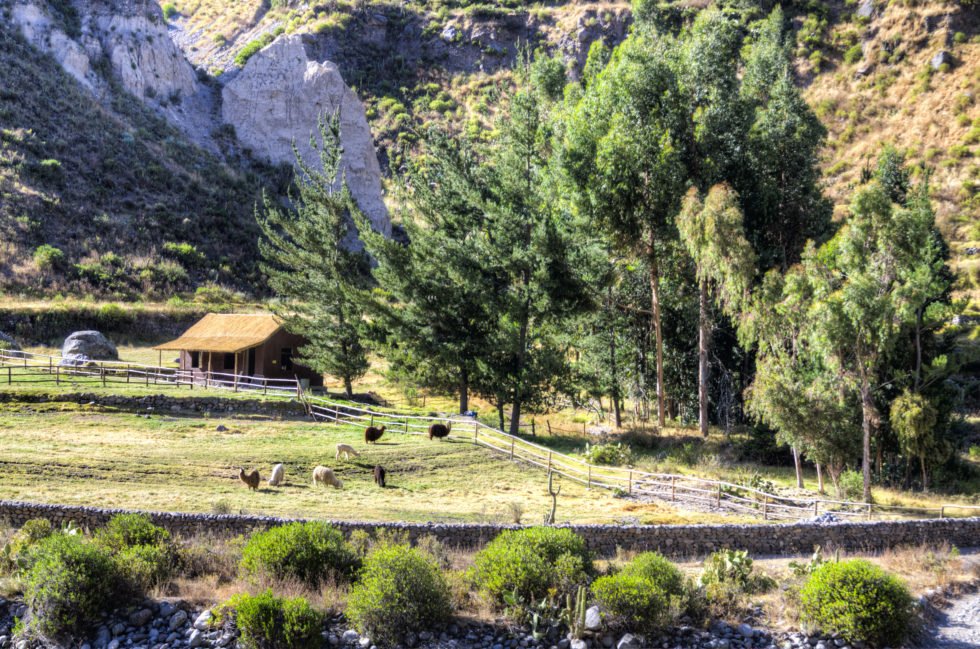 Colca Lodge: Luxury Hotel in Peru's Colca Canyon | LANDED Travel